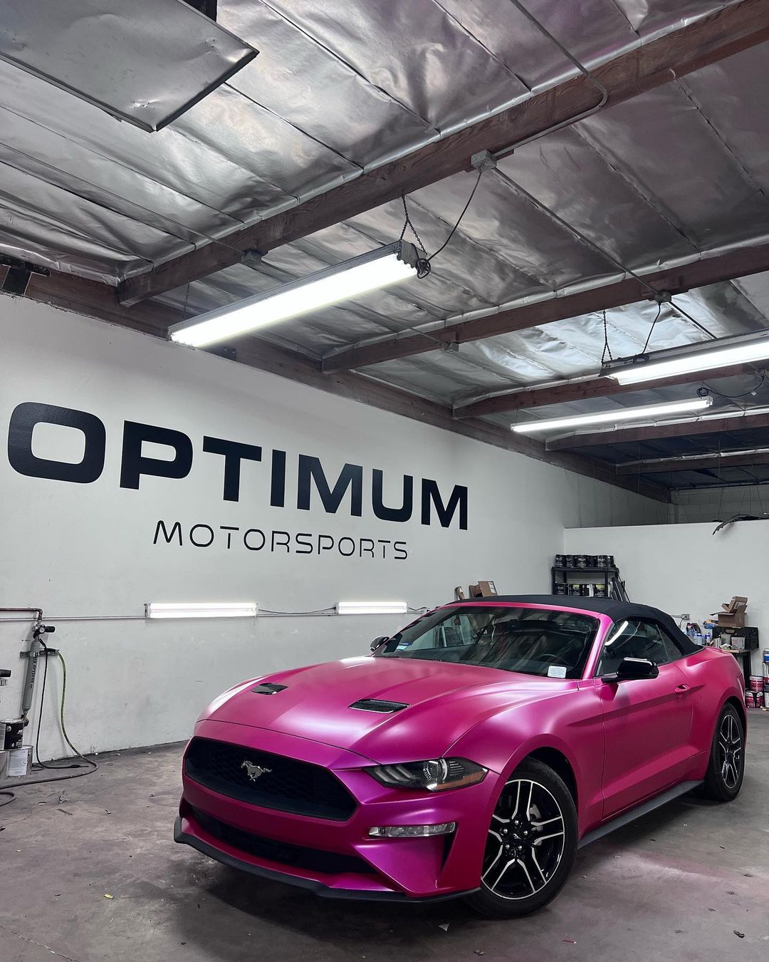 Pink Poison @optimummotorsports 1 – DipStick Jax