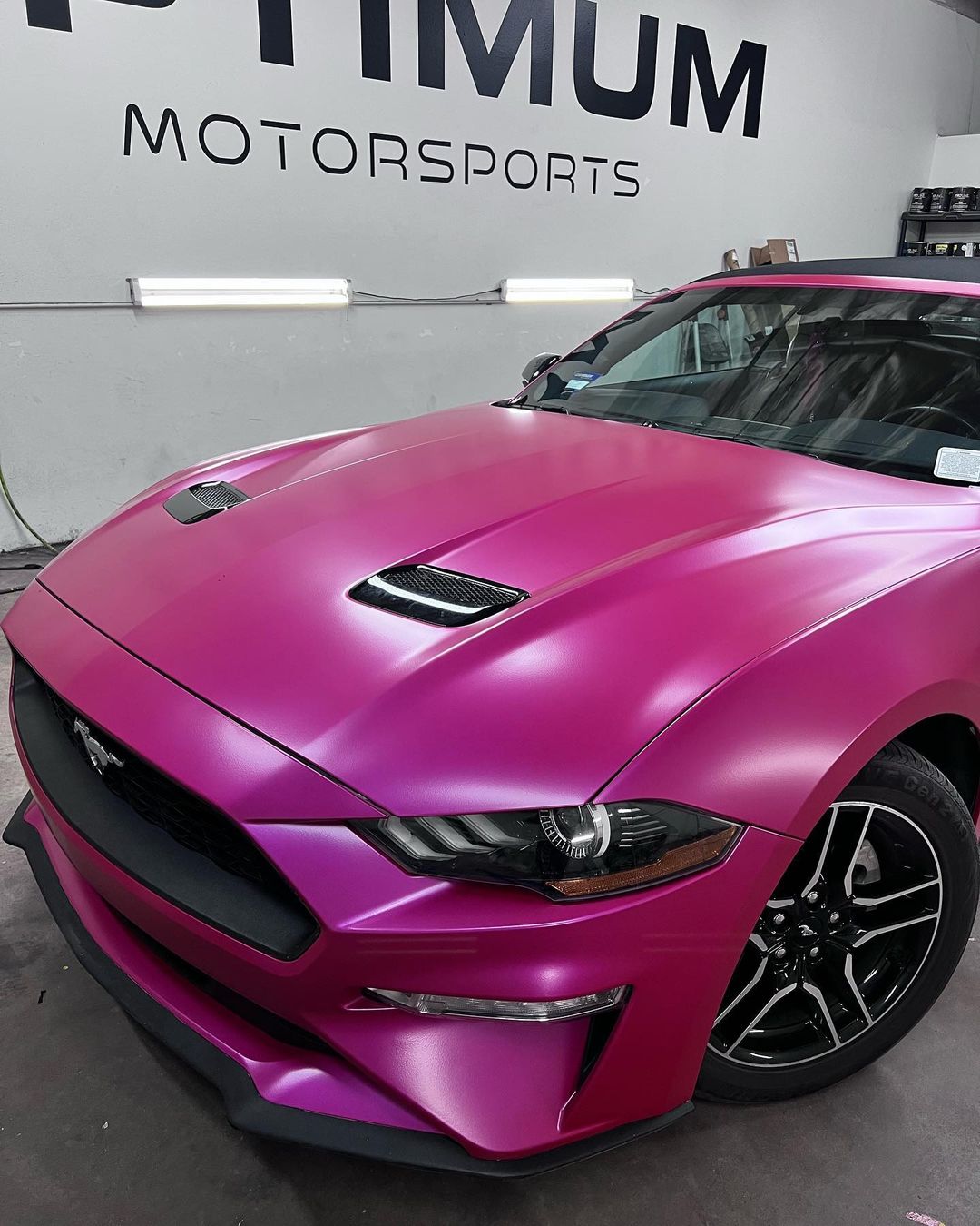 Pink Poison @optimummotorsports 2 – DipStick Jax